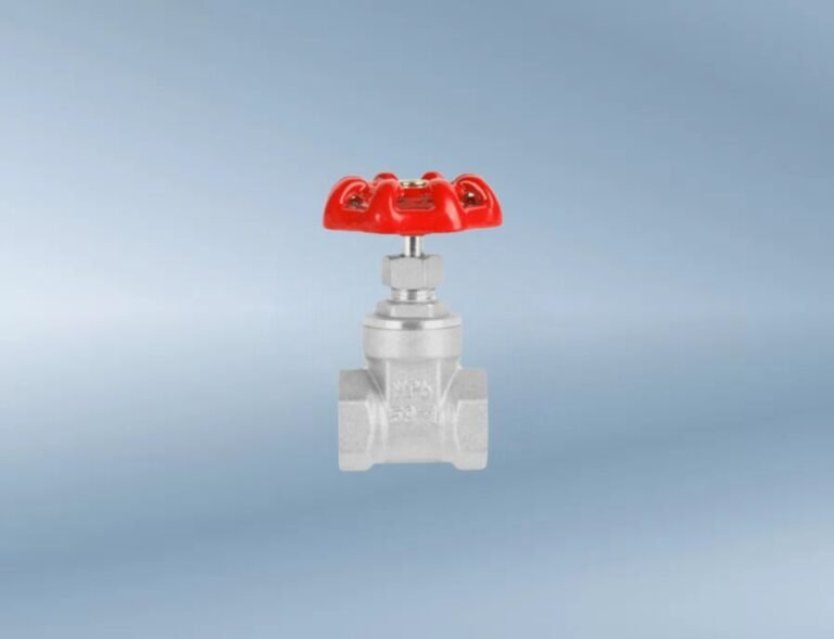 Stainless Steel Ball Gate Valve - PROCAMLOCK