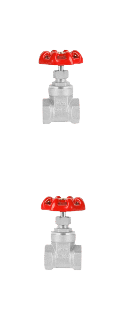 Stainless Steel Ball Gate Valve - PROCAMLOCK